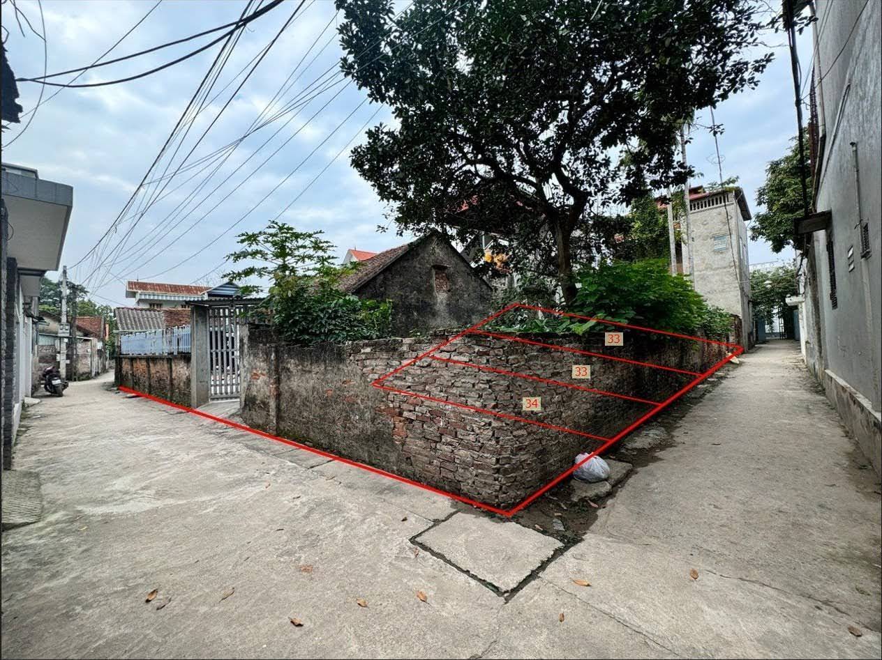 Bán Đất Phân Lô Phụng Châu Ô Tô Vào Tận Đất Giá Chỉ Nhỉnh 2 Tỷ Gần Đại